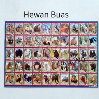 Jual Poster Edukasi Macam2 Hewan / Mainan Gambaran 50 Jenis Binatang ...