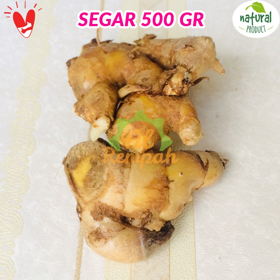 Jual Bangle / Bengle Segar dan Tua 500gr untuk Sawan dan Jamu | Shopee ...