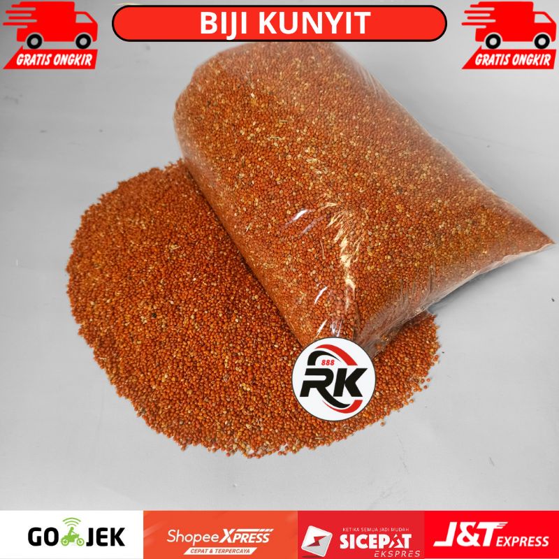 Jual BIJI JEWAWUT KEMASAN 500GR - 1KG BIJI KUNYIT JUWAWUT SEKOI FOXTAIL ...