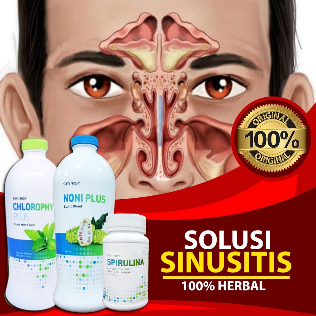 Jual AMPUH ATASI Sinusitis Radang Sinus Nature Solusion | Shopee Indonesia