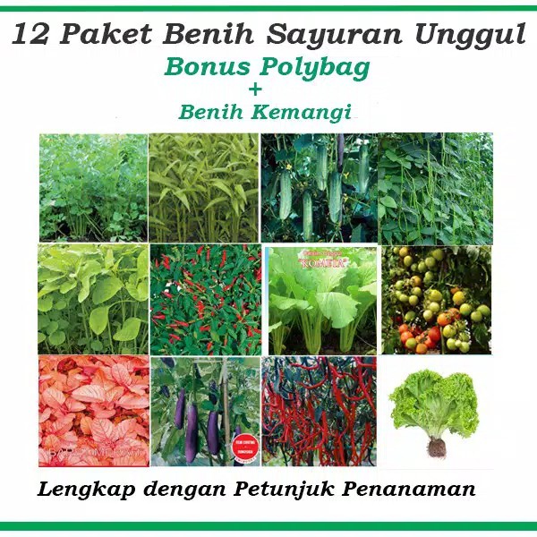 Jual PAKET BENIH SAYUR UNGGUL | Shopee Indonesia