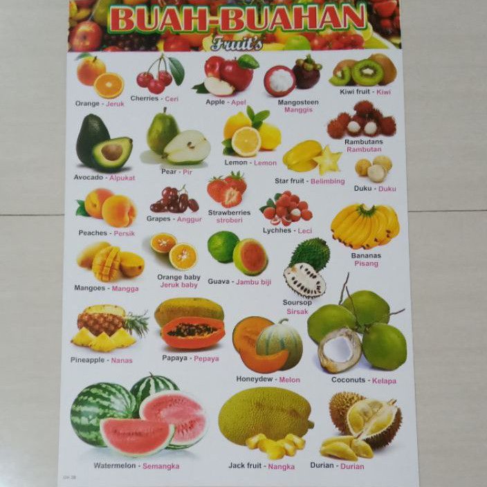 Poster EDUKASI MURAH..!! FRUIT-BUAH BUAHAN (BILINGUAL) | Shopee Indonesia