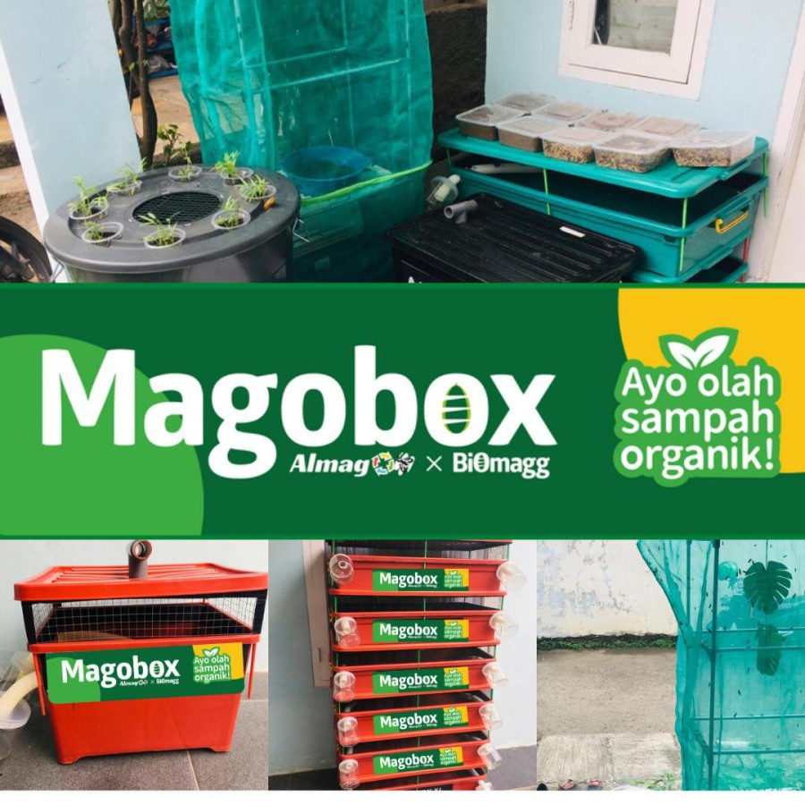 Harga Magobox Terbaru Oktober 2021 | BigGo Indonesia