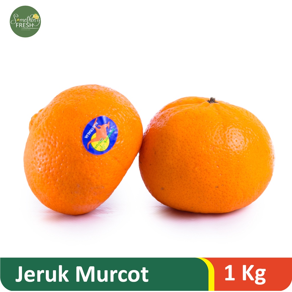 Jual Jeruk Murcot Aust Perkilo - BSD | Shopee Indonesia