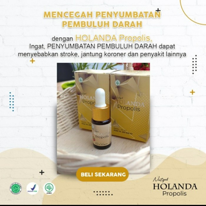 Jual PROMO HOLANDA Propolis Herbal Asli Berkulitas Asli Alami | Shopee ...