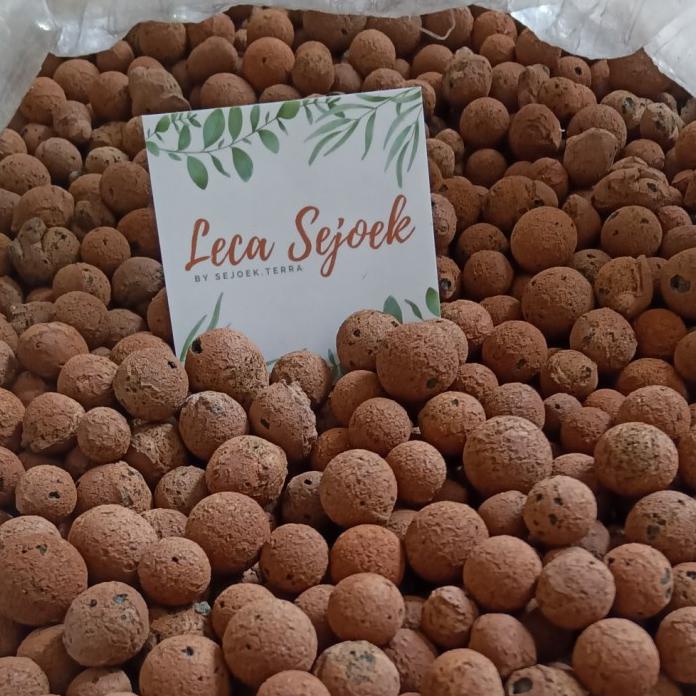 Jual LECA SEJOEK KARUNG 10 L / PREMIUM HYDROTON / HIDROTON / HIDROPONIK ...