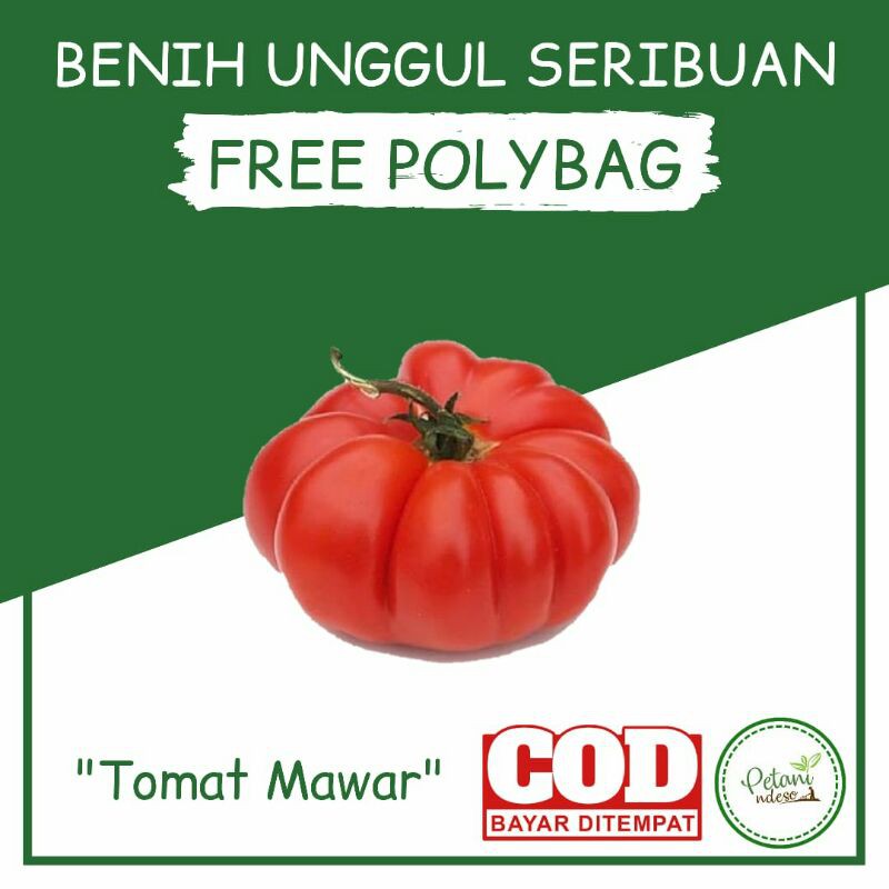 Jual 15 Biji Benih Bibit Tanaman Sayuran Sayur Buah Tomat Mawar Ranti ...