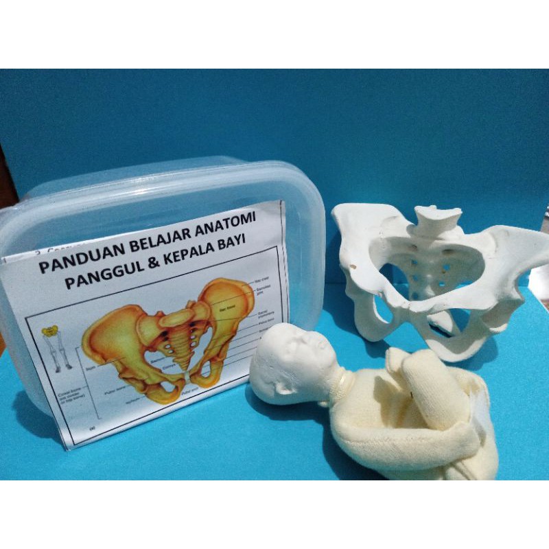 Jual Media Belajar Murah Mahasiswa Bidan/ Perawat/ Tenaga Kesehatan ...