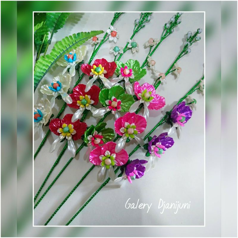 Jual Bunga ANGGREK MUTIARA Pertangkai | Shopee Indonesia