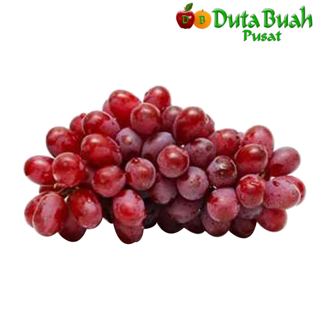 Jual DUTA BUAH Anggur Merah Lonjong Super (+-450g-500g/Pack) | Shopee ...