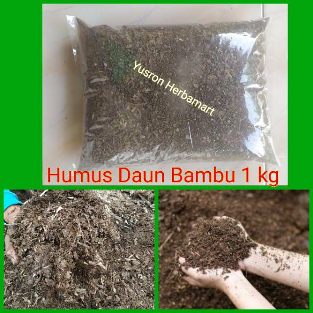 Jual HUMUS DAUN BAMBU 1 KG | Shopee Indonesia