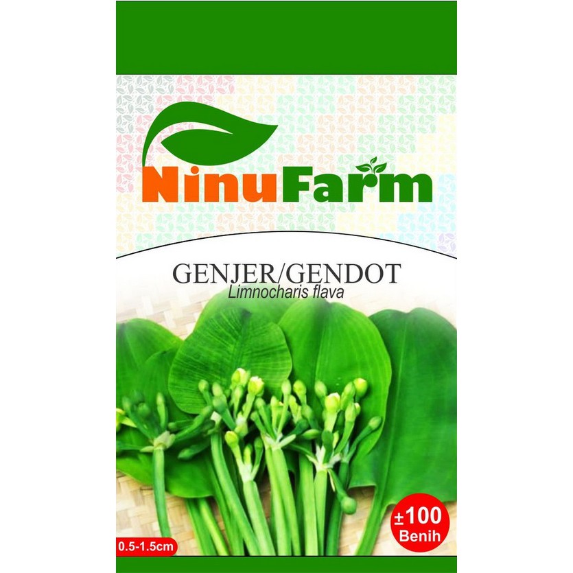 Jual Benih Bibit Daun Genjer/Gendot Ninufarm (150 Butir) | Shopee Indonesia