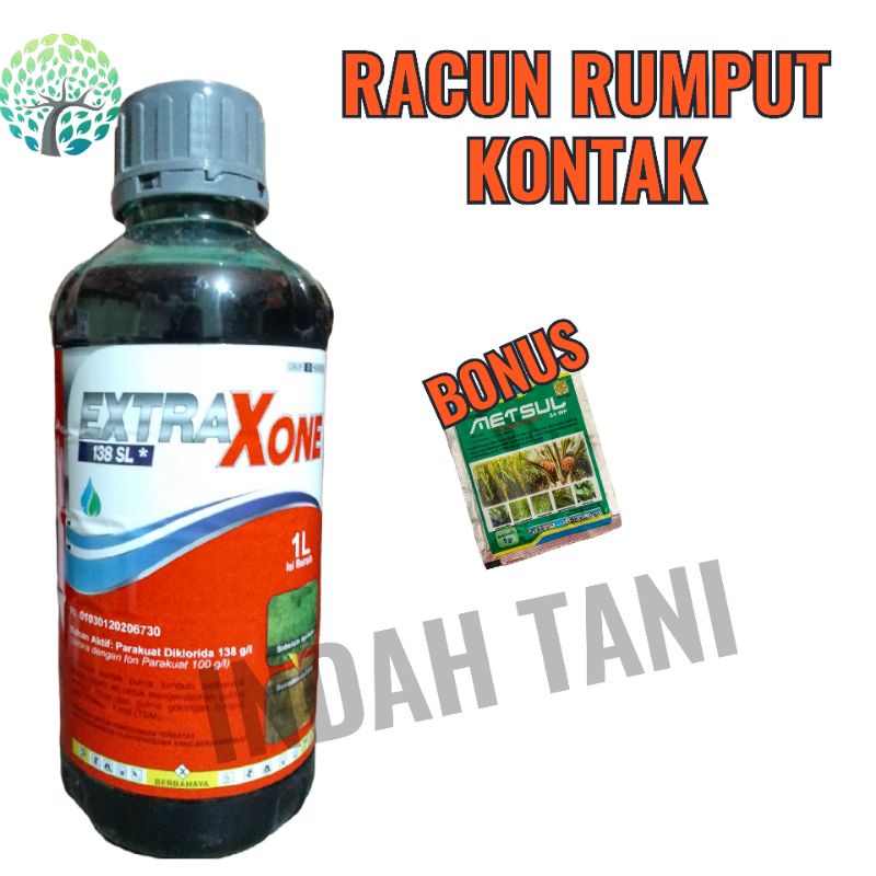 Jual RACUN RUMPUT EXTRA XONE 138 SL/ HERBISIDA KONTAK 1LITER | Shopee ...