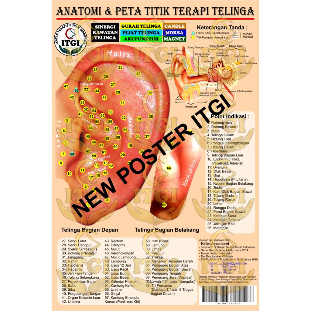 Jual POSTER TITIK TERAPI TELINGA Indonesia|Shopee Indonesia