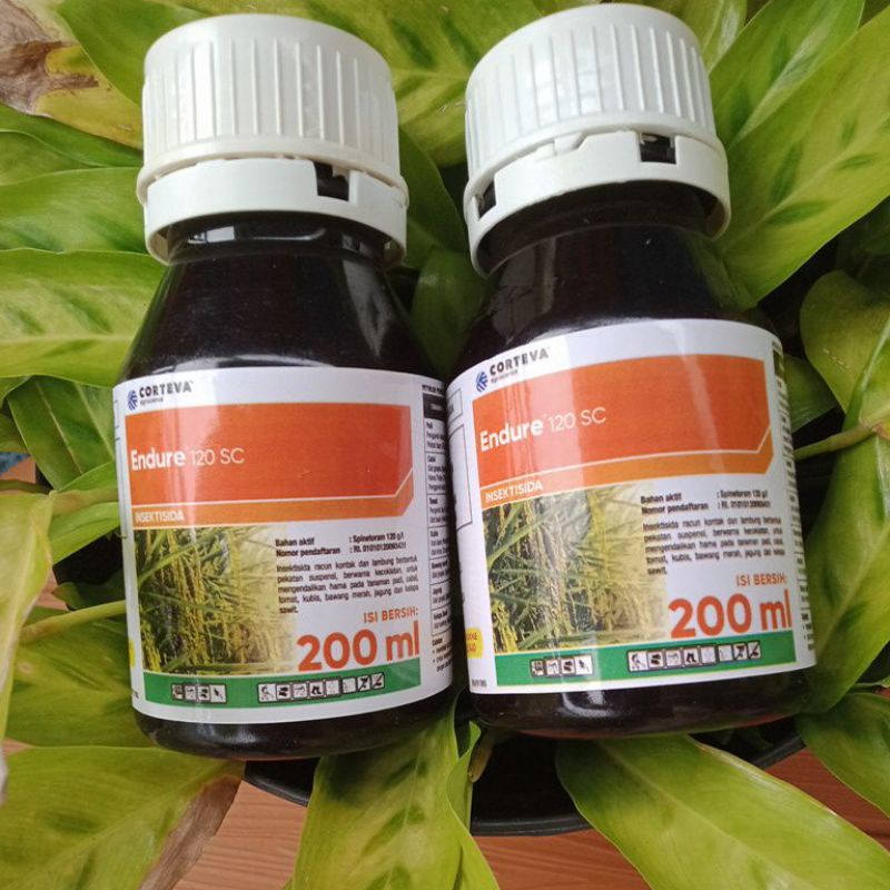 Jual insektisida Endure 120 SC 200ml | Shopee Indonesia