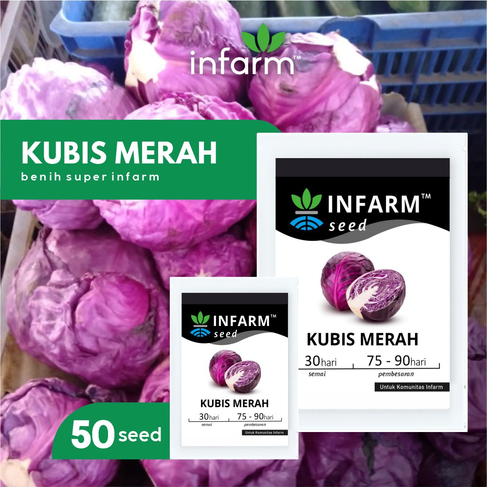 Jual INFARM - Benih Super Kubis Merah Ruby Perfection F1 | Shopee Indonesia