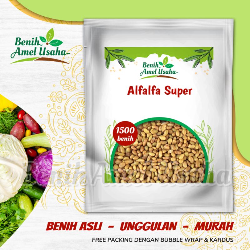 Jual Benih pakan ternak alfalfa super isi 1500 benih / benih bibit ...