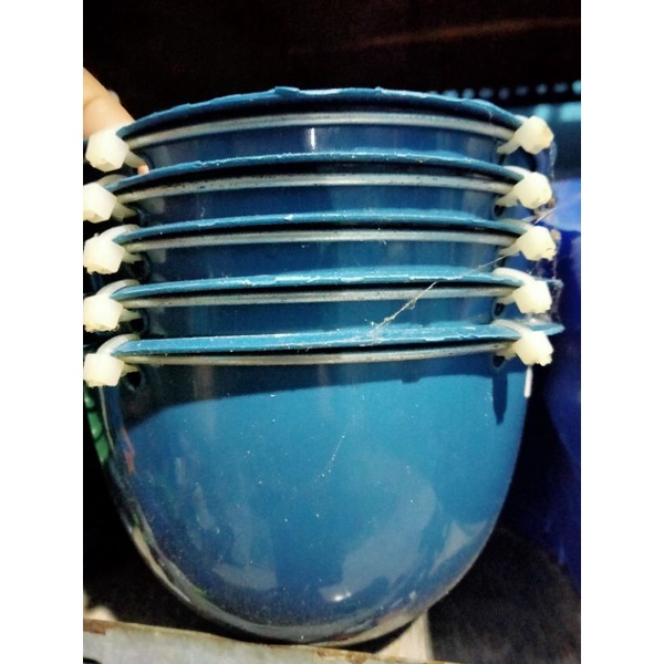 Harga wadah pakan ayam bangkok Terbaru Nov 2025 | BigGo Indonesia