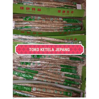 Jual Burdock Root/Gobo/Akar Ketela Jepang - harga 500 gram Indonesia ...
