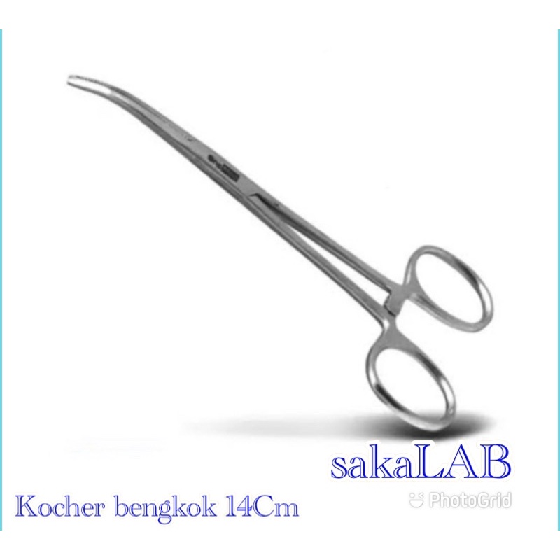 Jual GUNTING KOCHER BENGKOK 14CM (pcs) | Shopee Indonesia