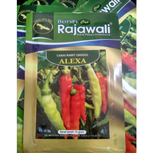 Jual Benih/Bibit Lombok /Cabe /Cabai/Cabai Rawit Alexa | Shopee Indonesia