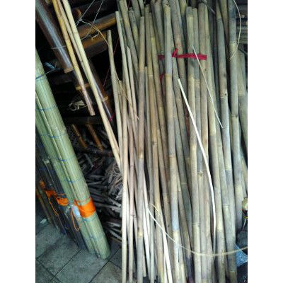 Jual Tongkat Pramuka Bambu | Shopee Indonesia
