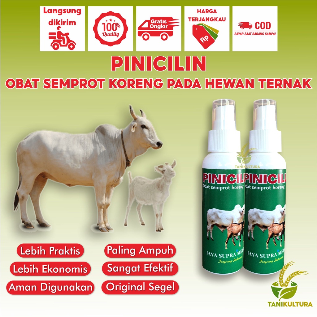 Jual Pinicilin Spray Obat Luka Dan Koreng Anti Bakteri Yang Mampu ...
