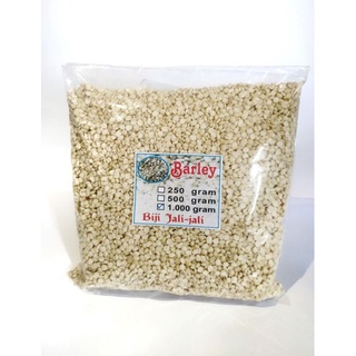 Jual BARLEY/BIJI JALI JALI LOKAL/HANJELI SUPER 1KG | Shopee Indonesia