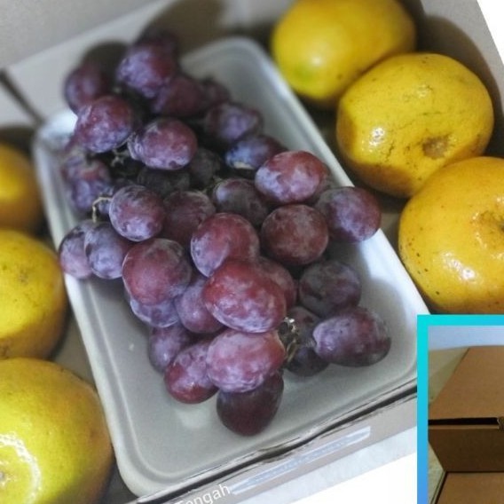 Jual HAMPERS BUAH SEGAR 104 - Paket Hampers Buah Anggur Merah + Buah ...