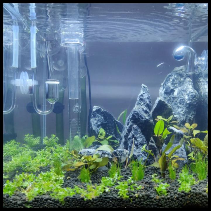 Jual Aquaspace Co2 Diffuser Glass Set Perawatan Ikan Aquarium | Shopee ...