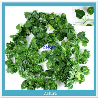 Jual DAUN RAMBAT DAUN SULUR DAUN RAMBAT BUNGA DEKORASI DINDING PROPERTI ...