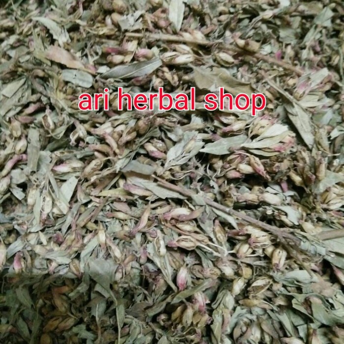 Jual LAIN-LAIN bunga sidowayah kering 100 gram | Shopee Indonesia