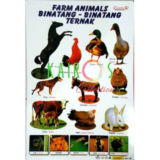 Jual Poster Anak Edukasi Belajar Farm Animal Binatang Ternak Indonesia ...