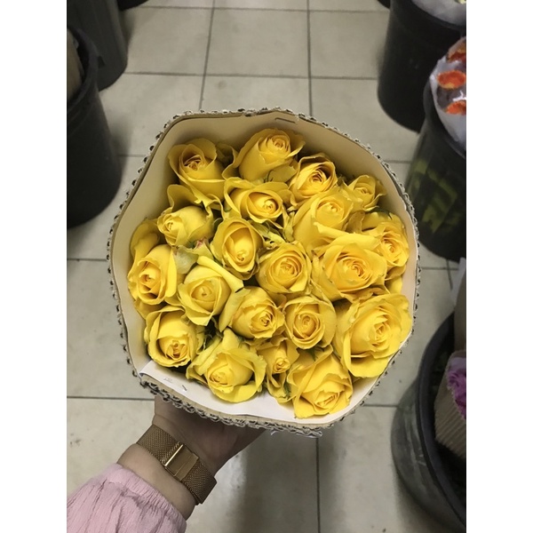Jual ROSE KUNING (BUNGA SEGAR) Indonesia|Shopee Indonesia