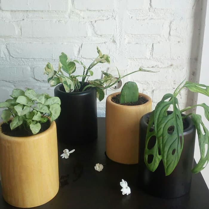 Pot kayu tabung untuk tanaman dan peralatan lainnya | Shopee Indonesia