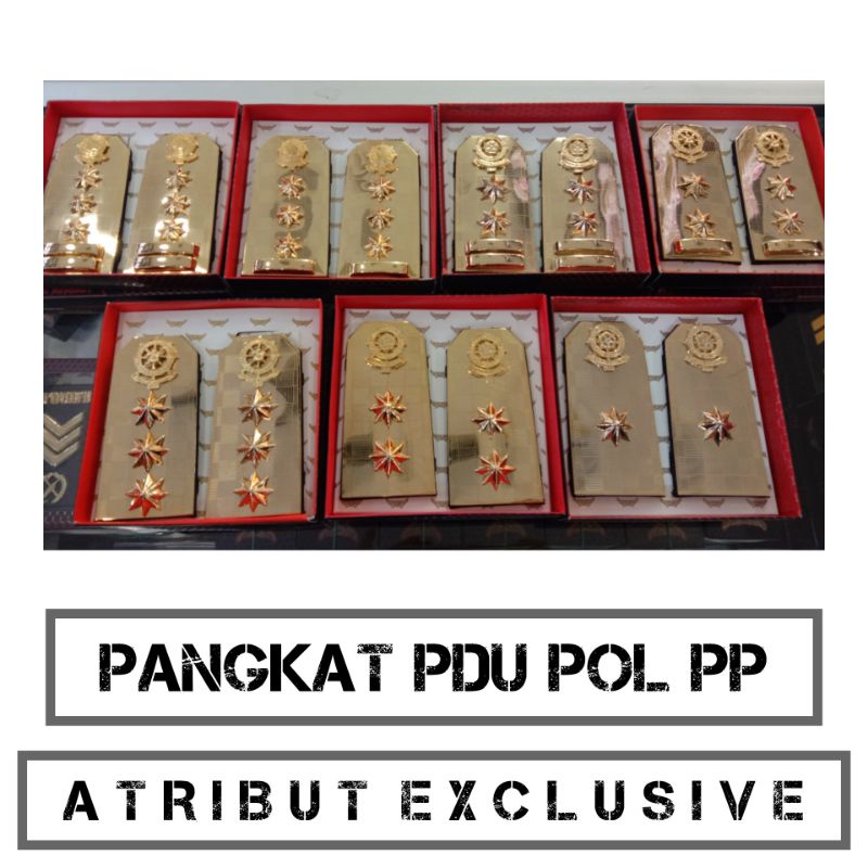 Jual Pangkat PDU Polpp Satpolpp Bupati Gubernur Wakil Indonesia|Shopee ...