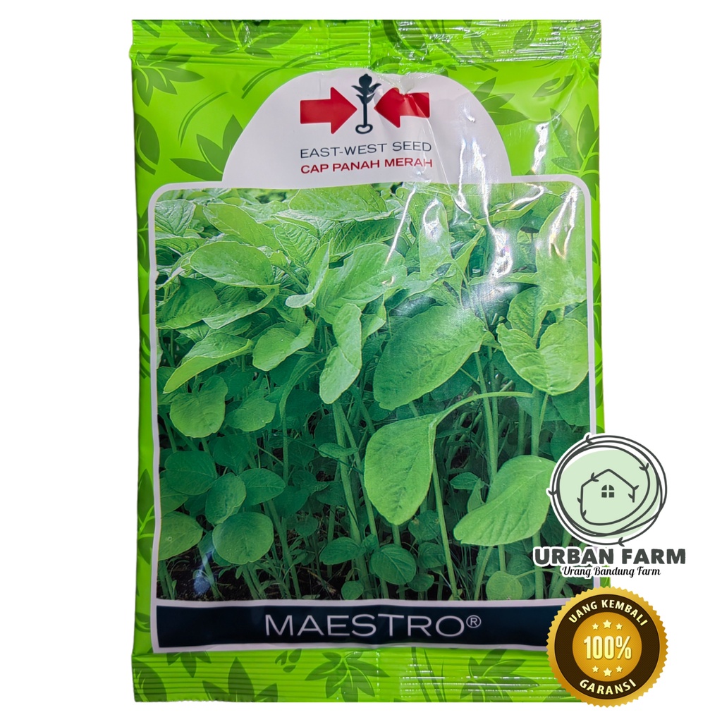 Jual Benih Bayam MAESTRO 500gram - Benih Bayam Cap Panah Merah | Shopee ...