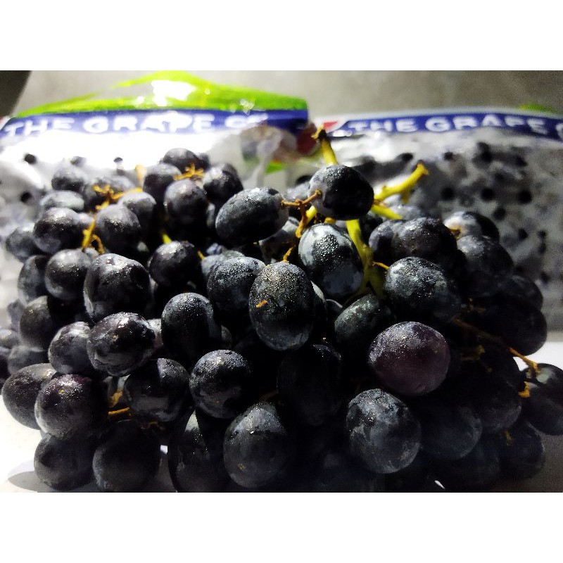 Jual Anggur Hitam Afrika Tanpa Biji / black Seedless Midnight Beauty ...