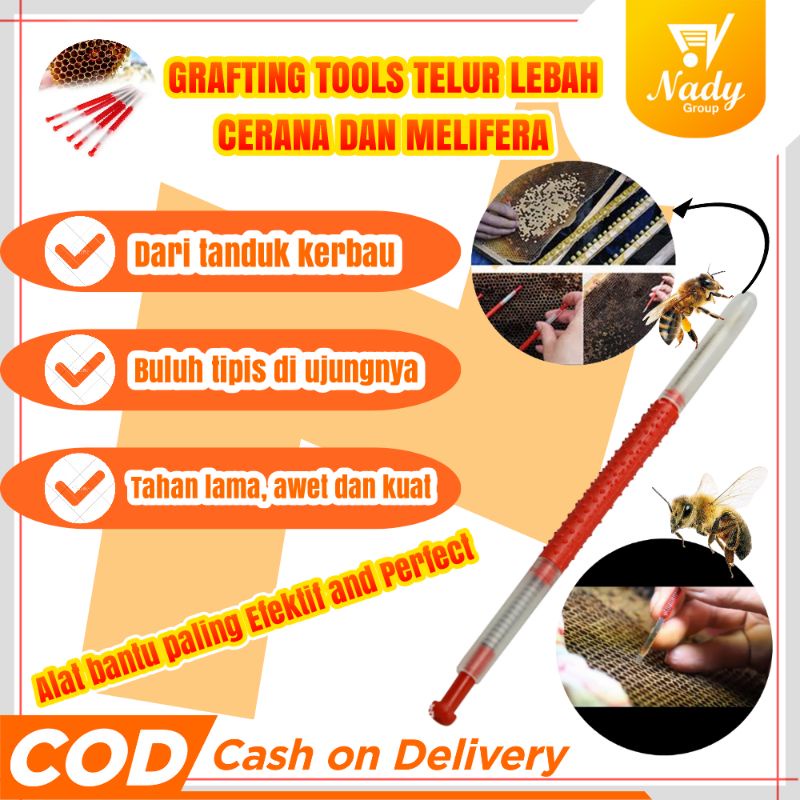 Jual Stik Pengambilan Larva atau Telur Lebah Melifera dan Cerana Alat ...