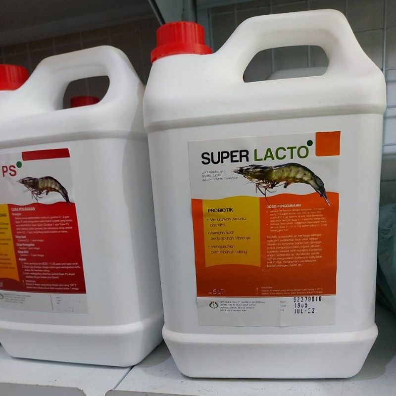 Jual SUPER LACTO 5L | Shopee Indonesia