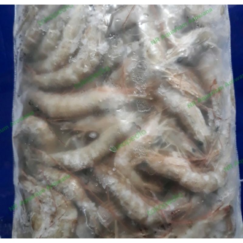 Jual udang api size besar Indonesia|Shopee Indonesia