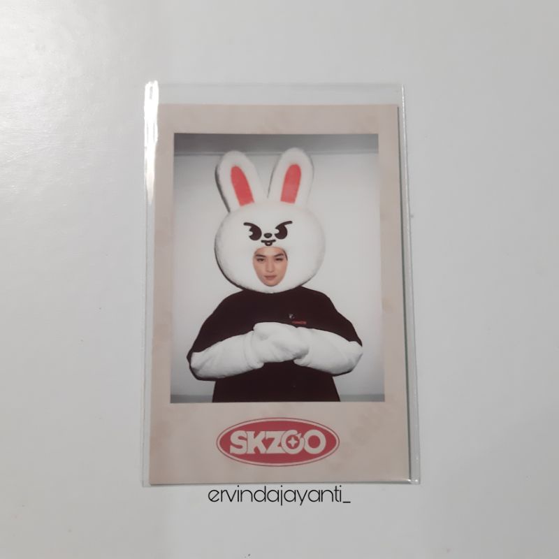 Jual Stray Kids SKZOO LEEBIT Polaroid | Shopee Indonesia