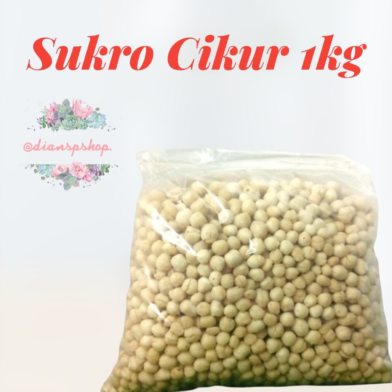 Jual Sukro cikur pilus kencur 1kg || dianspshop | Shopee Indonesia