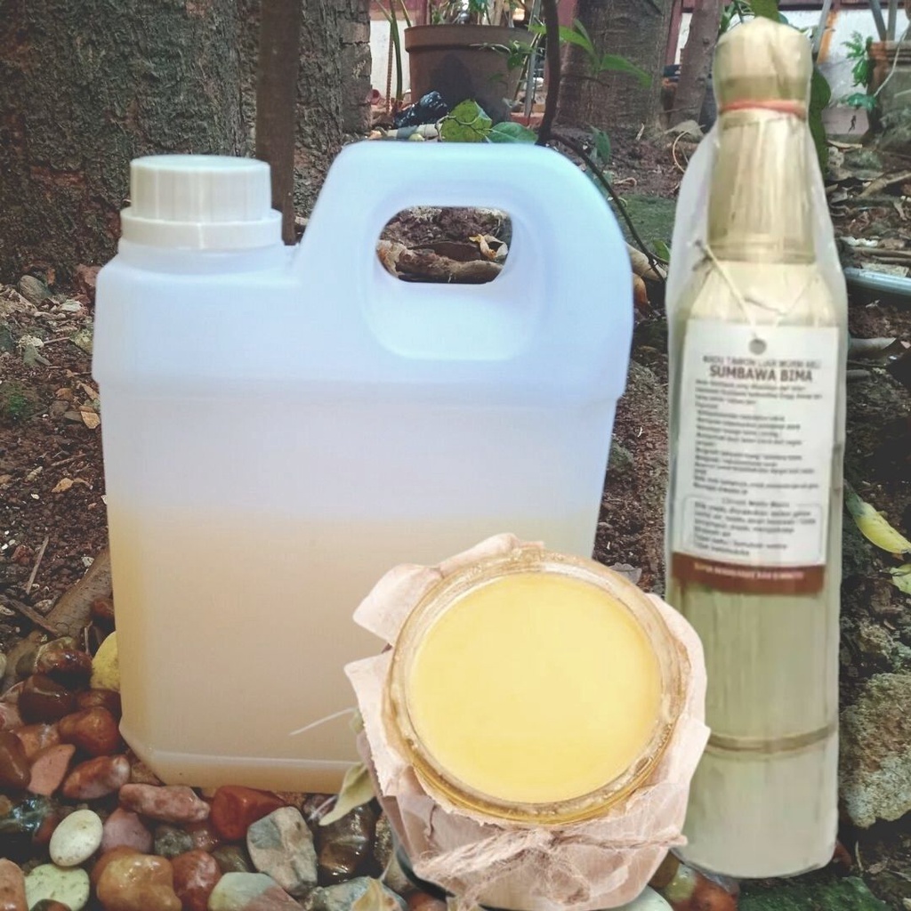 Jual MADU ASLI MADU PUTIH ASLI HUTAN SUMBAWA TRADISIONAL MURAH ...