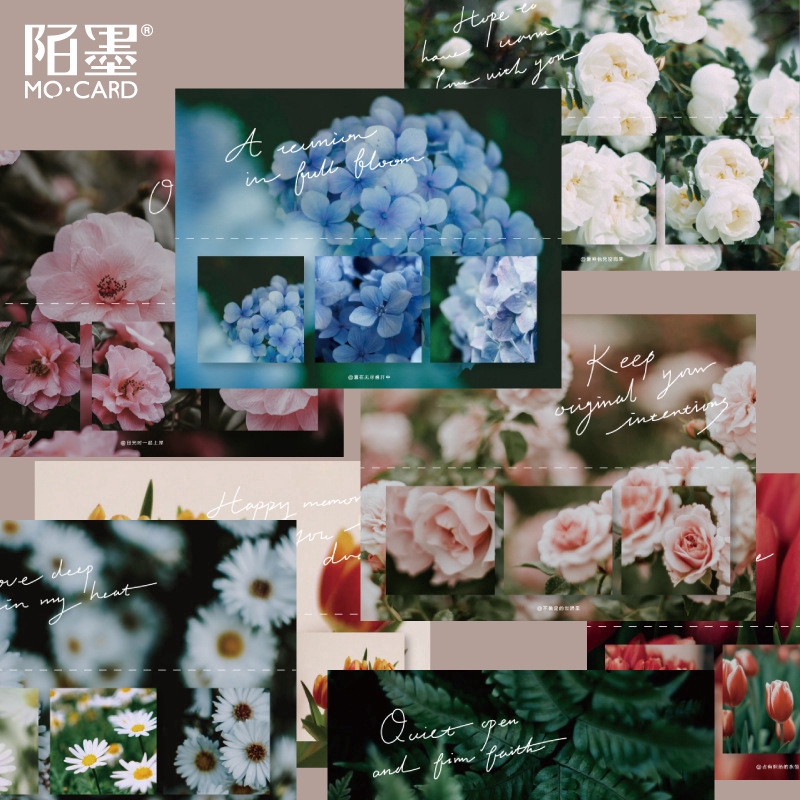 Inilah 38+ Tanaman Bunga Di Sekolah Super Keren - Informasi Seputar ...