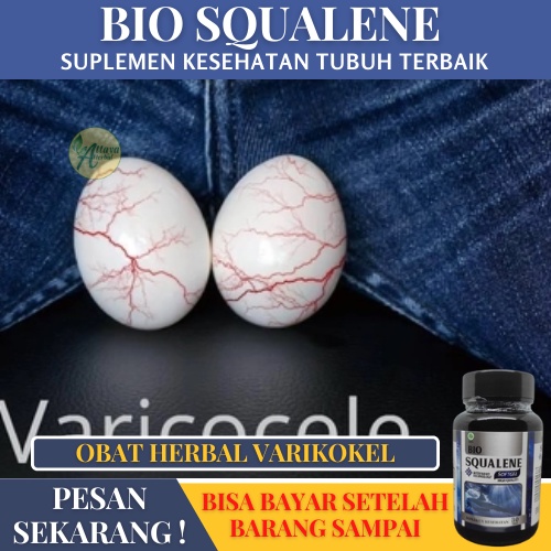 Jual Obat Varikokel Pembengkakan Buah Zakar, Benjolan Di Testis, Turun ...