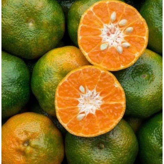 Jual Jeruk Keprok 1 Kg | Shopee Indonesia