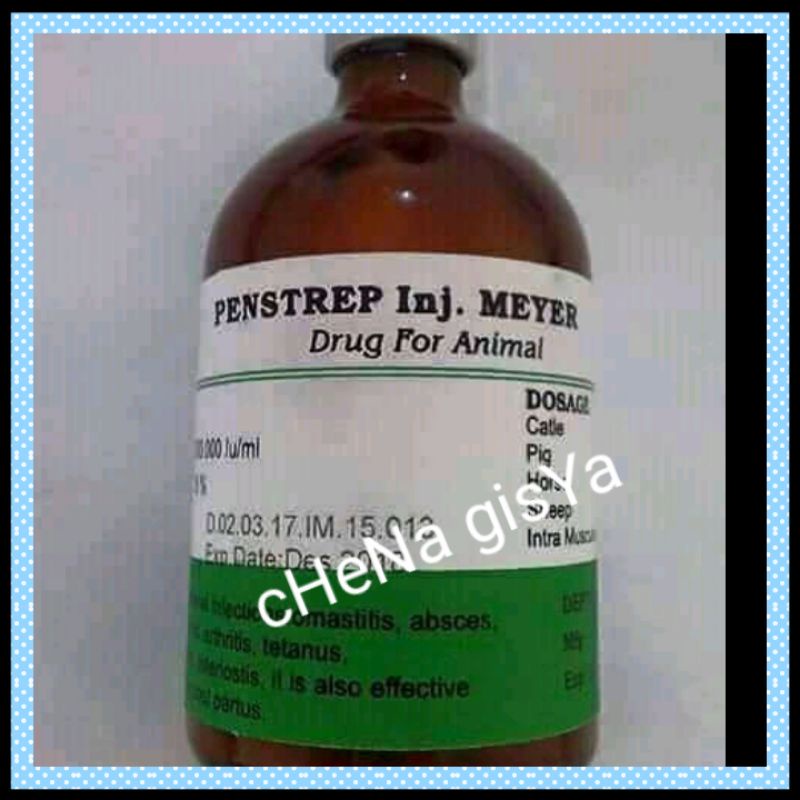 Jual PENSTREP inj convet obat mastitis domba/sapi/kambing | Shopee ...