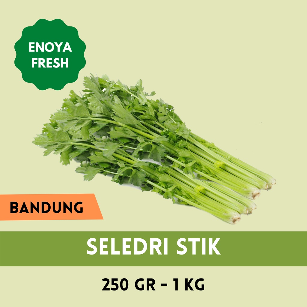 Jual Seledri Stik 250 gram - 1 kg Bandung | Shopee Indonesia