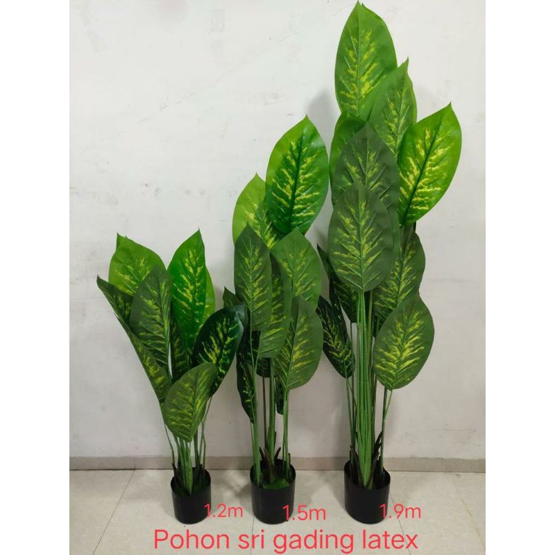 Jual pohon sri gading palsu artificial T.180cm/pohon plastik/pohon hias ...